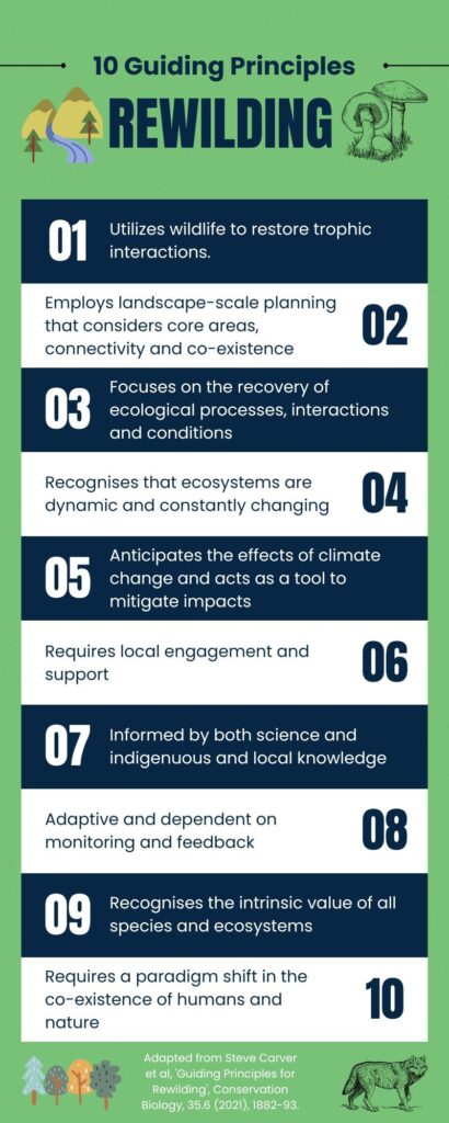 Rewilding: Biodiversity’s Ability to Heal - Jesuit Centre for Faith and ...