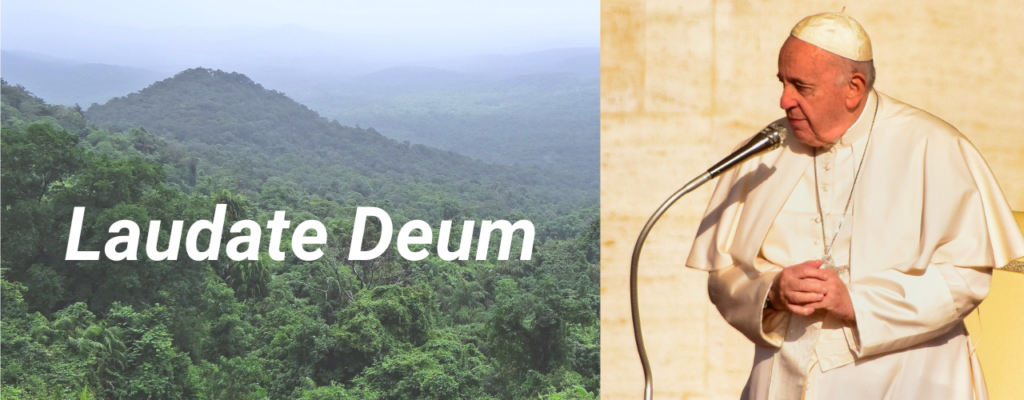 Laudate Deum Summary - Jesuit Centre for Faith and Justice in Ireland